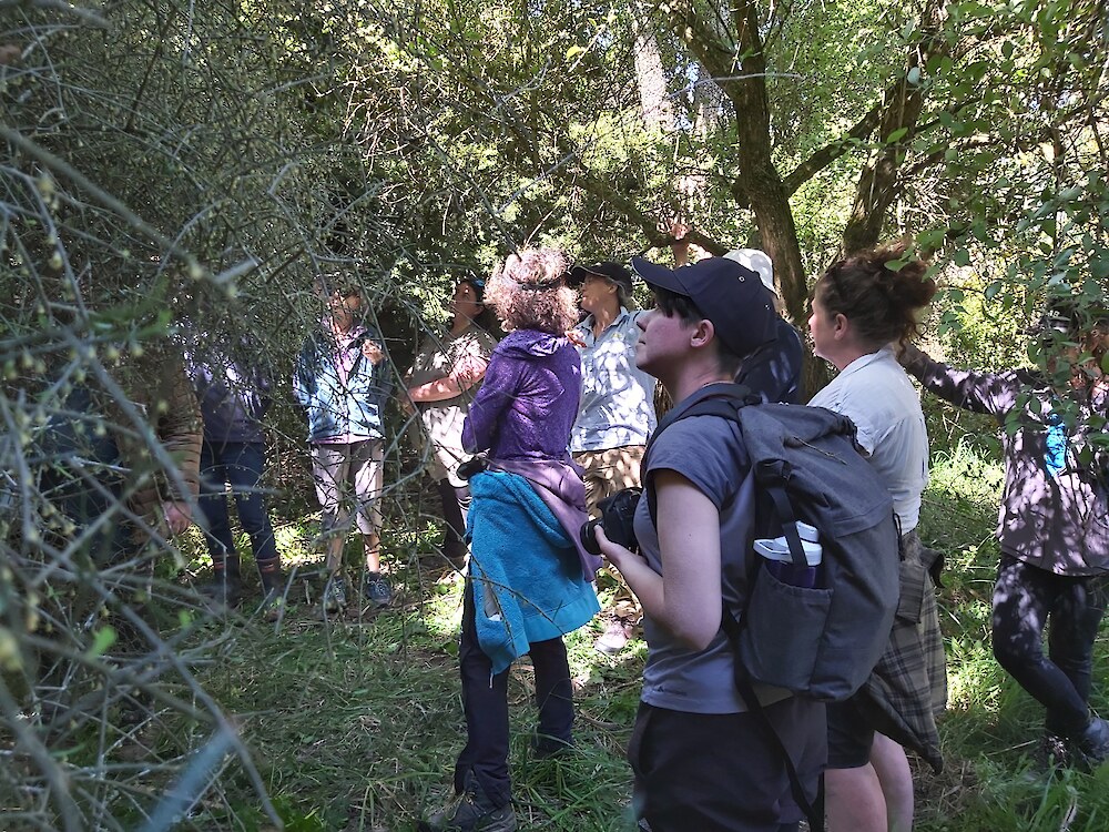 QEII report on SERN Spring Central Southland Meander • Southland ...